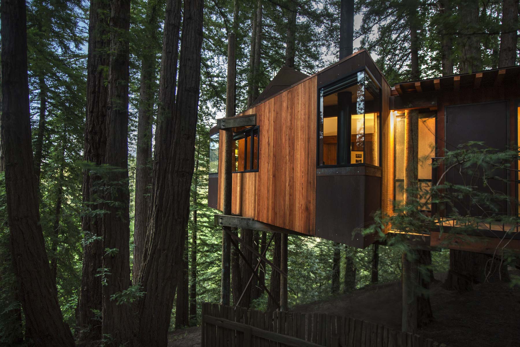 Weird Shaped Tree Houses