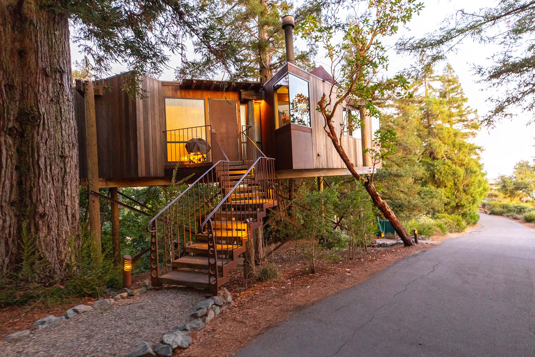 Weird Shaped Tree Houses