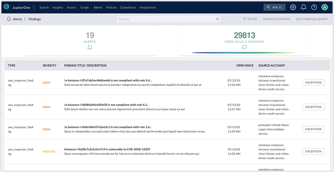 Vulnerability Management