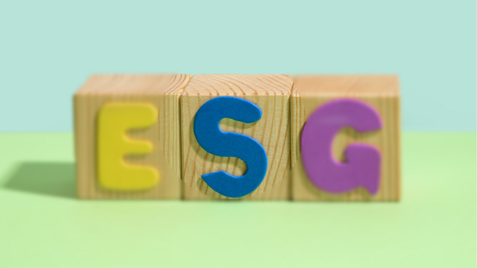 The 'S' in ESG and what it truly means for corporate sustainability l ...