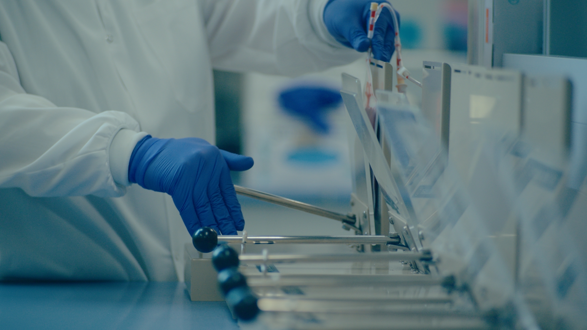 Anja FAQ: Stem Cell Banking 101