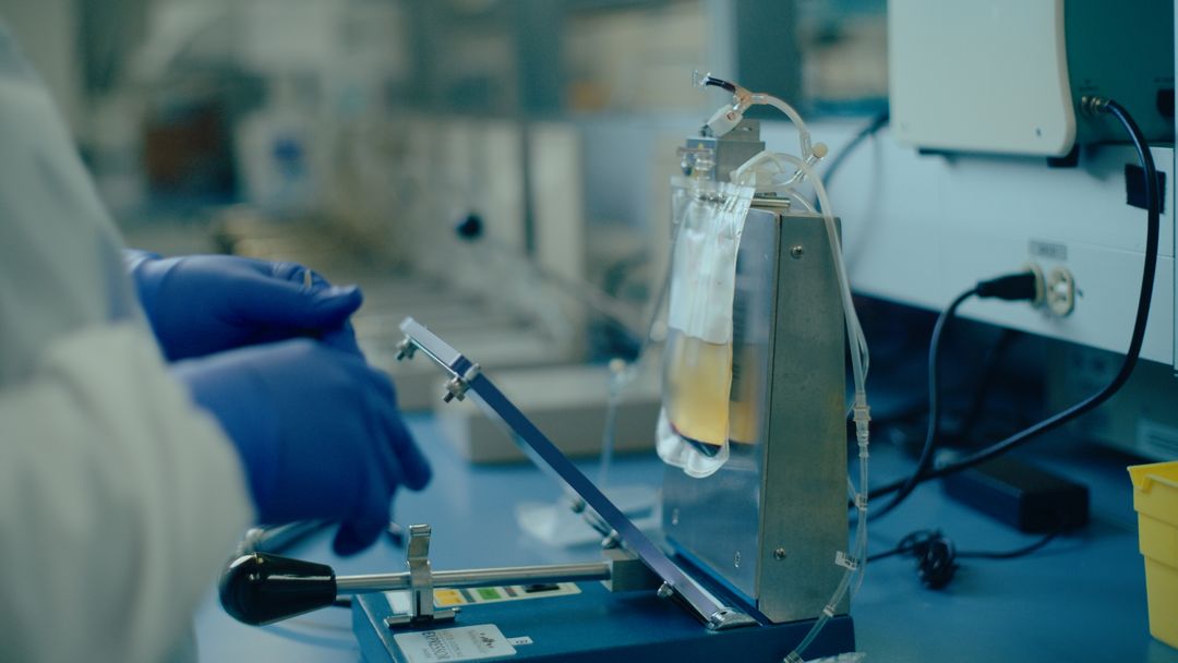 Stem Cell 101: What are the different types of stem cells?