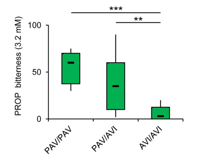 Trait: Bitter taste sensitivity | FitnessGenes®