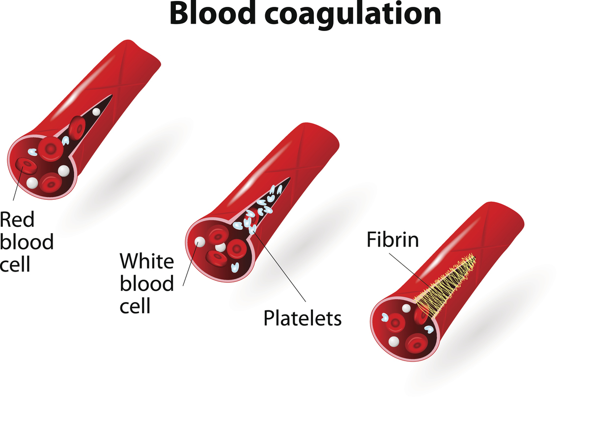 Trait: Vitamin K Breakdown | FitnessGenes®