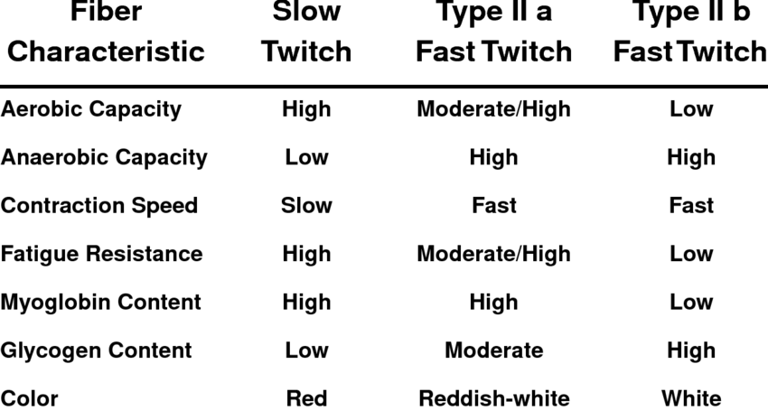 Trait: Muscle Performance (ACTN3) | FitnessGenes®