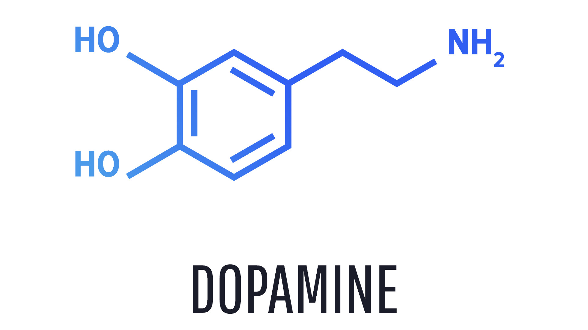 Trait: Dopamine Metabolism (COMT) | FitnessGenes®