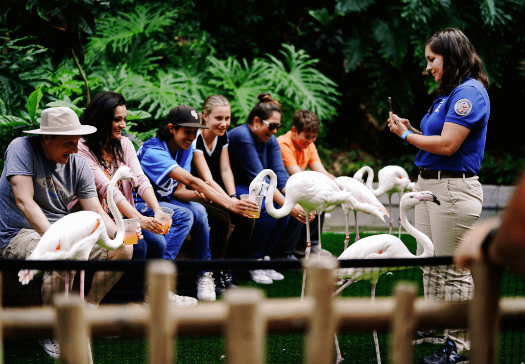 How to Improve Customer Service in Tourism Industry