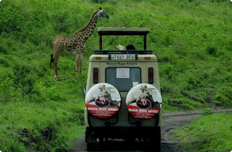 How Can Tour Operators Create Irresistible Tour Packages?