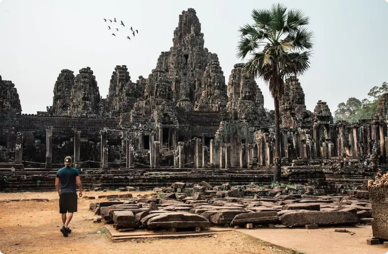 Who are Specialized Tour Operators?