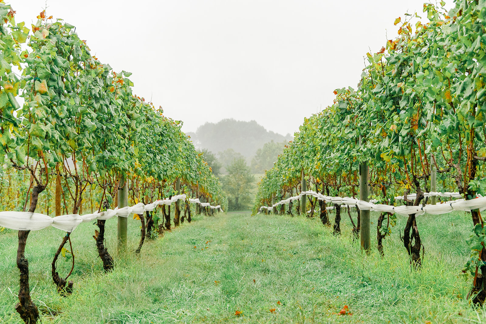 Private Events Photos