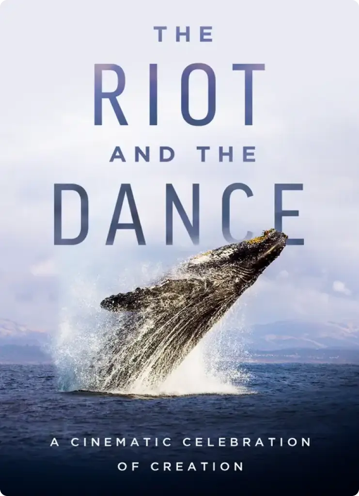 Canon+ | Cancel the Darkness