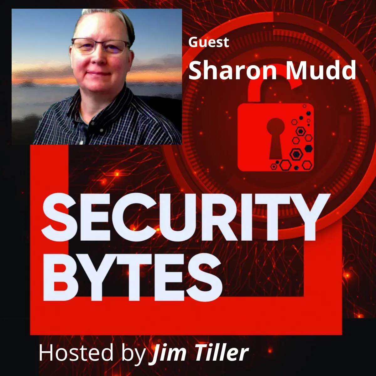 Podcast interview with Factoring humans in information risk management ...