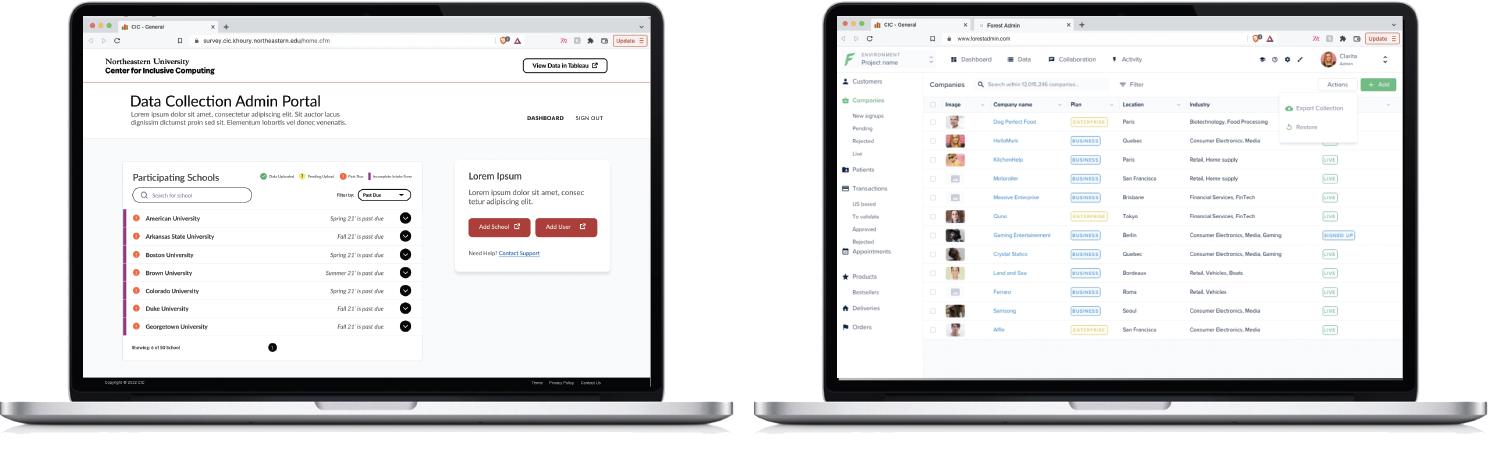 Fostering Inclusivity Through A Dynamic Data Collection Tool ...