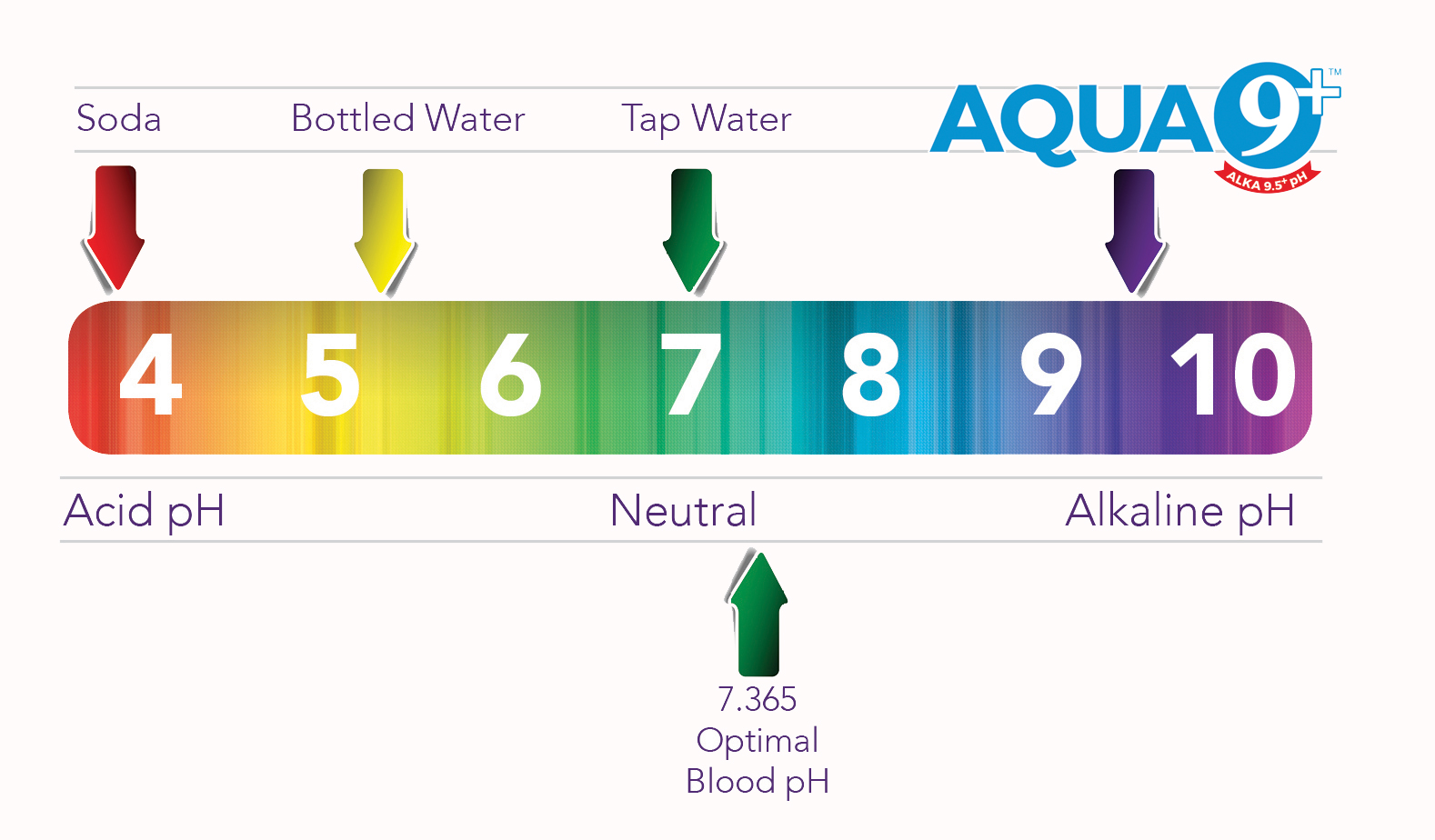 Over-Acidification Is The Body's Enemy