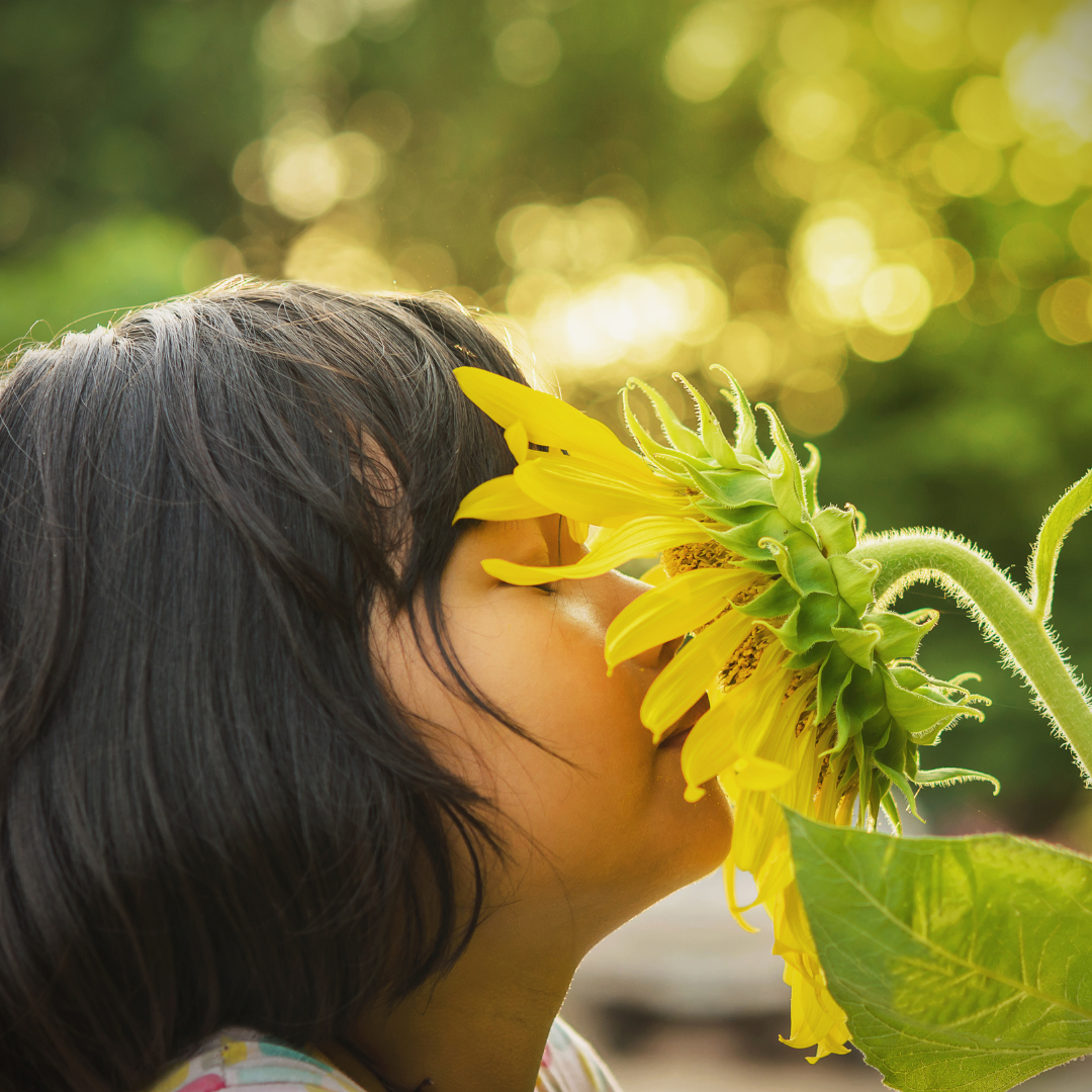 Awakening Children to Delightful Living | Alveary