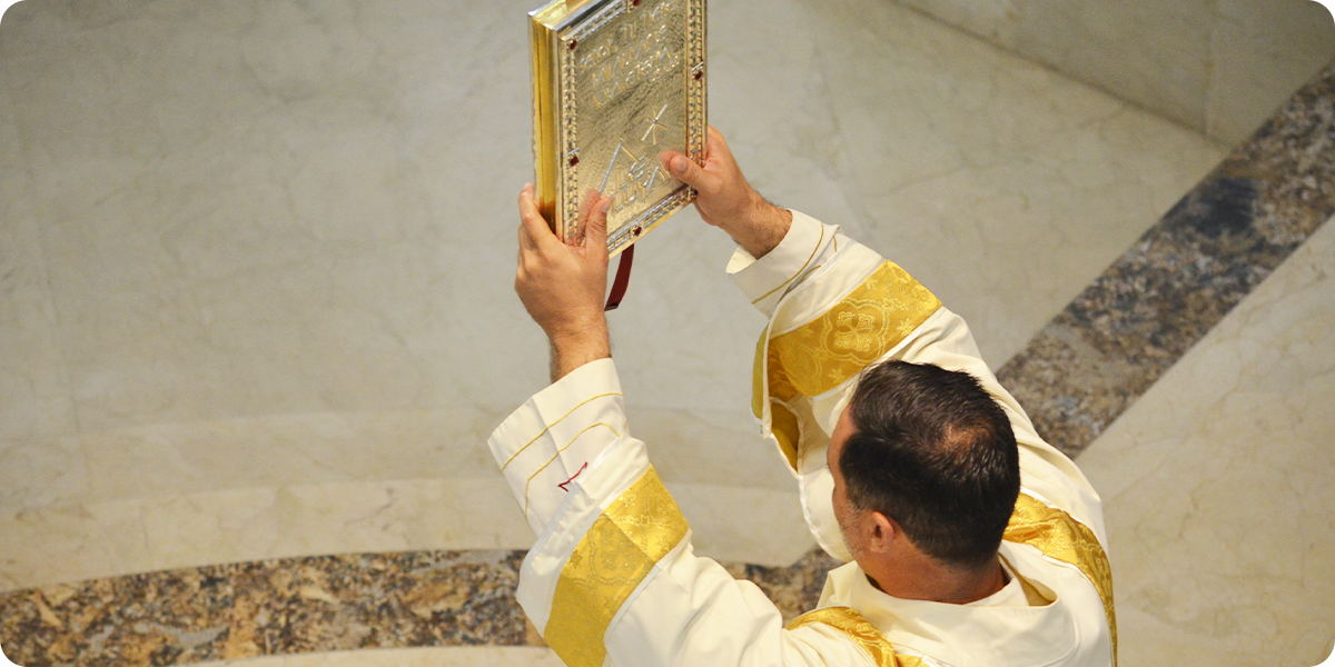 Blog: Updates and Inspiration from the Revival