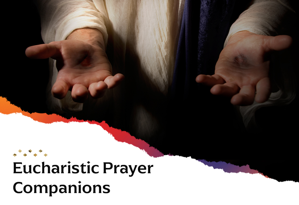 Blog: Updates and Inspiration from the Revival