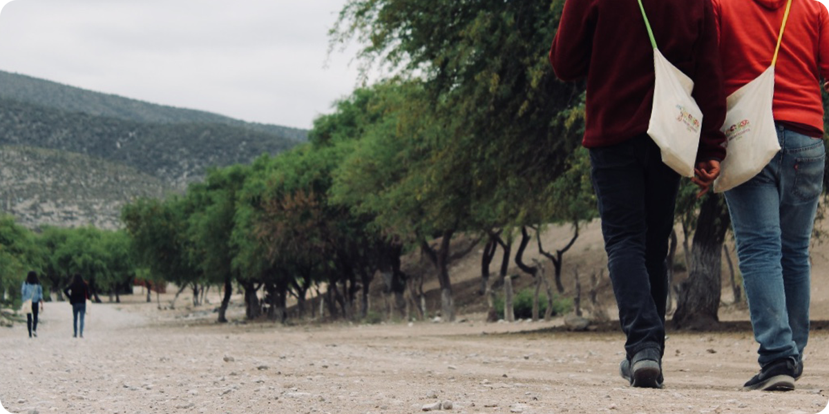 Blog: Updates and Inspiration from the Revival