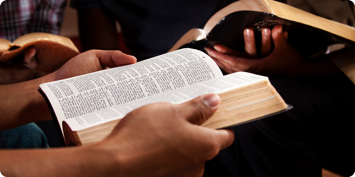 Blog: Updates and Inspiration from the Revival