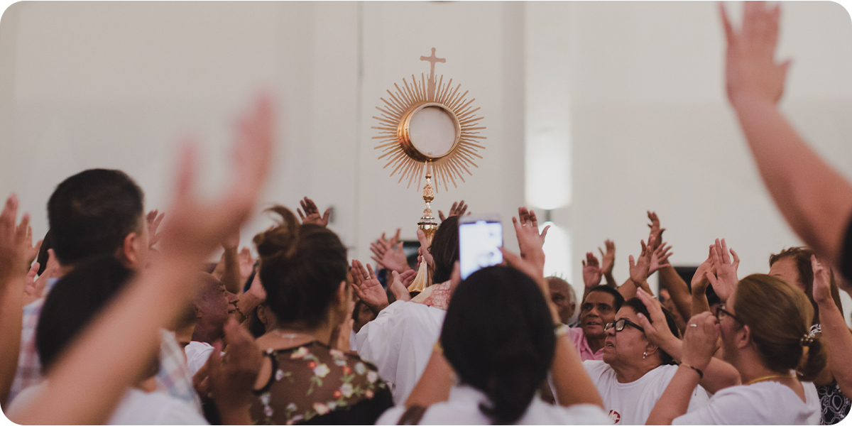 Blog: Updates and Inspiration from the Revival