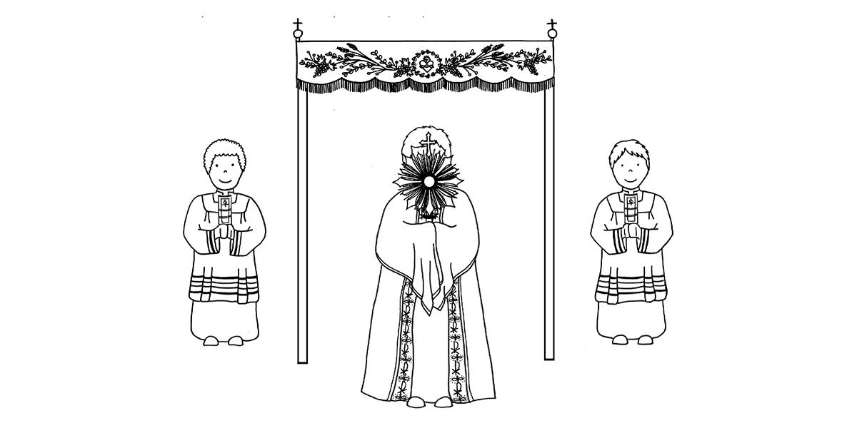 Blog: Updates and Inspiration from the Revival