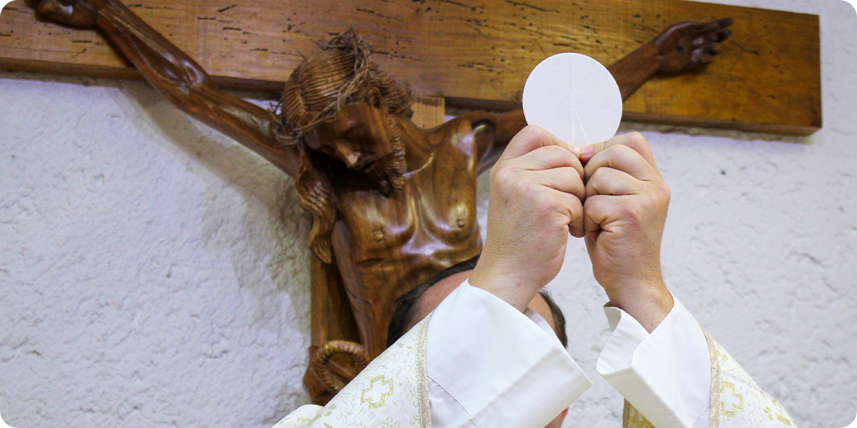Blog: Updates and Inspiration from the Revival