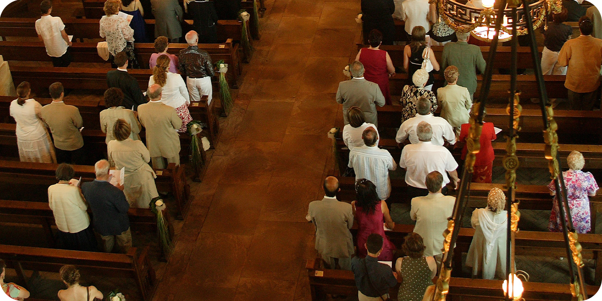 Blog: Updates and Inspiration from the Revival