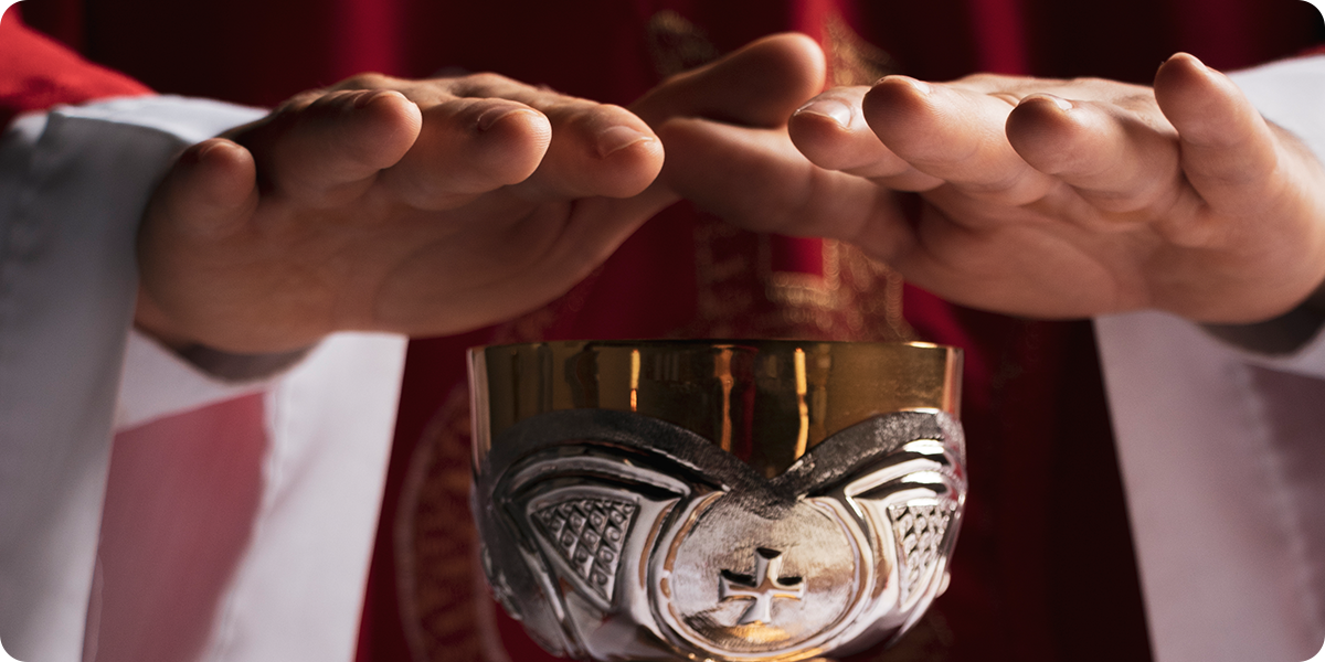 Blog: Updates and Inspiration from the Revival