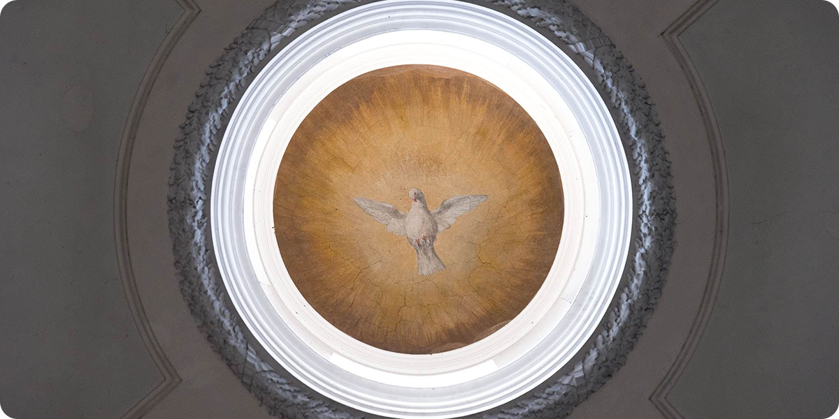 Blog: Updates and Inspiration from the Revival