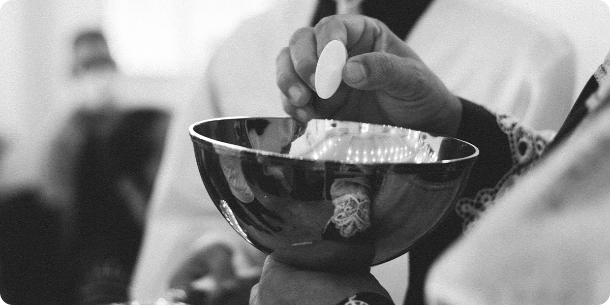 Blog: Updates and Inspiration from the Revival