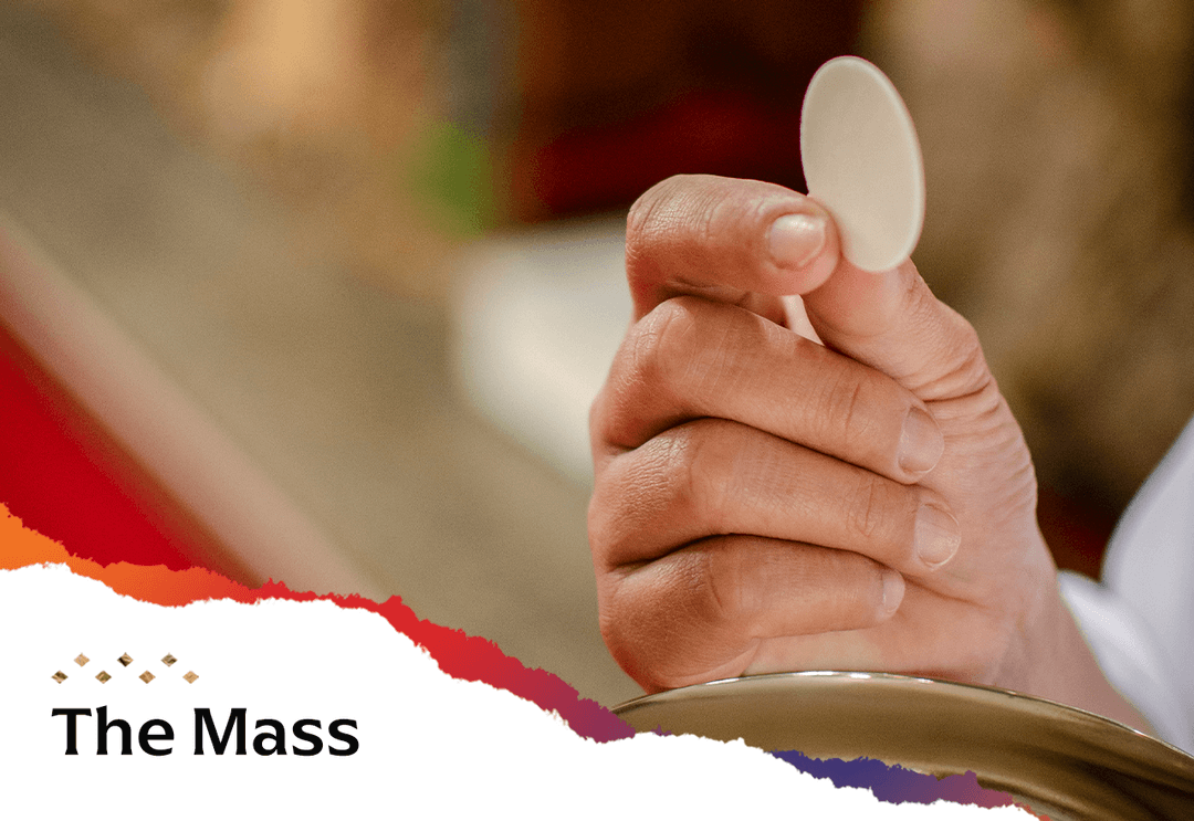 Blog: Updates and Inspiration from the Revival