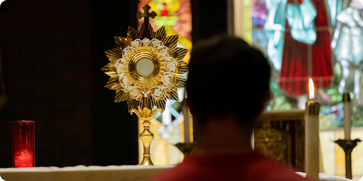 Blog: Updates and Inspiration from the Revival