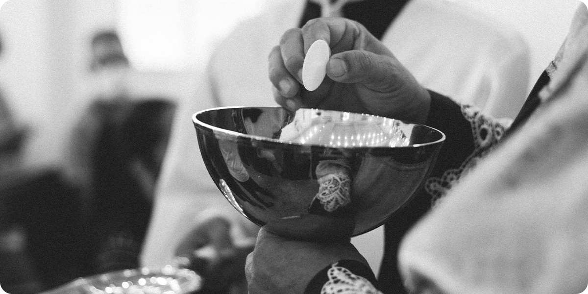 Blog: Updates and Inspiration from the Revival