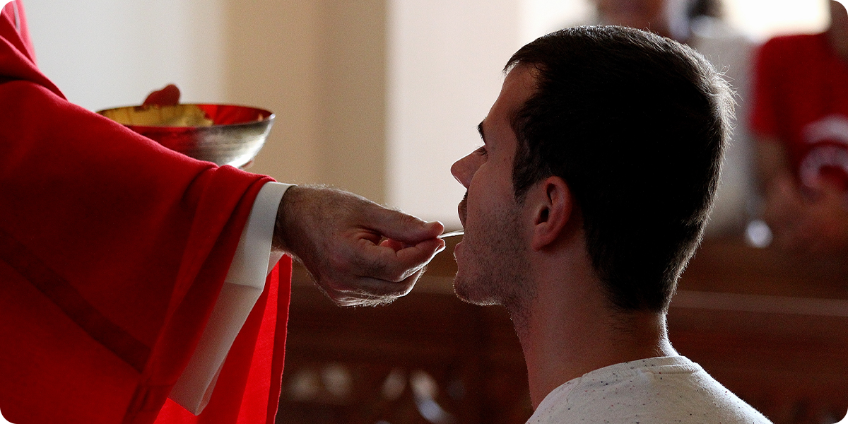 Blog: Updates and Inspiration from the Revival