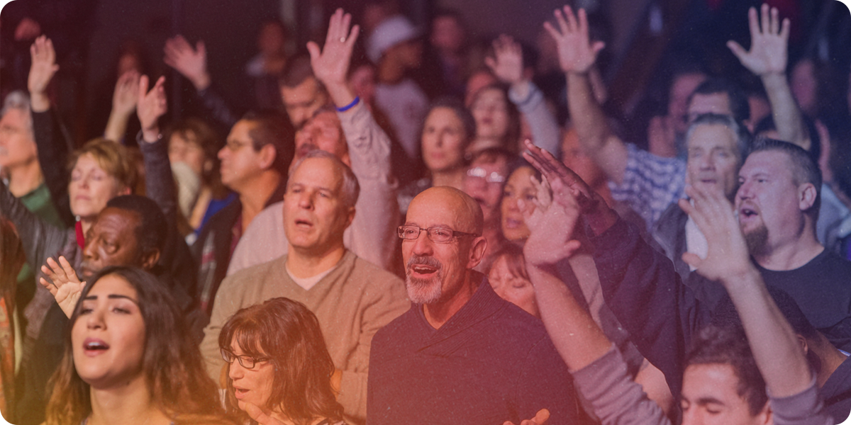 Blog: Updates and Inspiration from the Revival