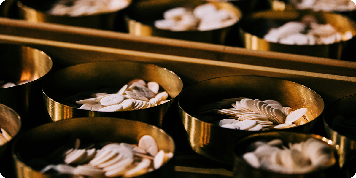 Blog: Updates and Inspiration from the Revival