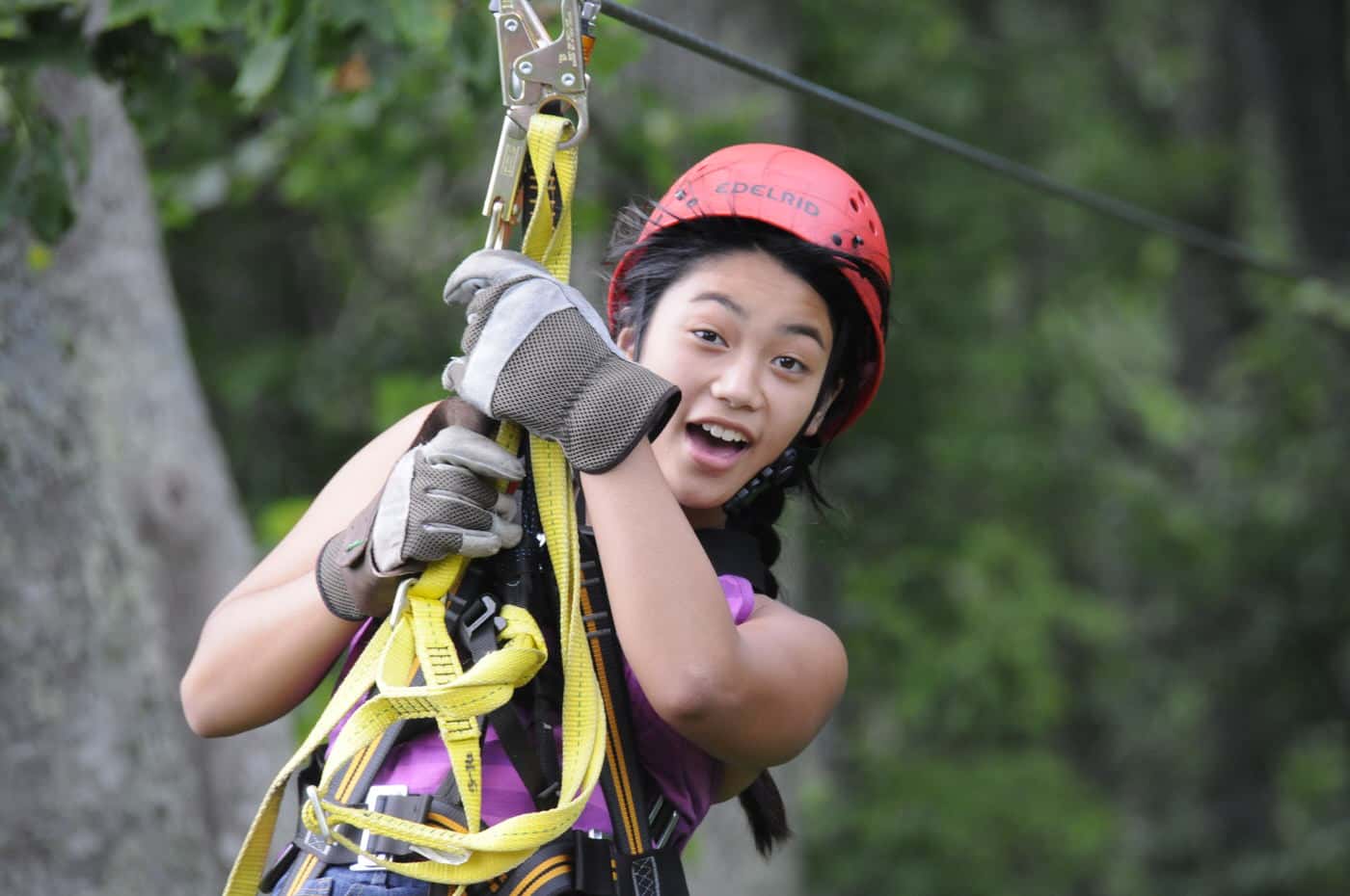 Zipline Canopy Tour | French Broad Adventures