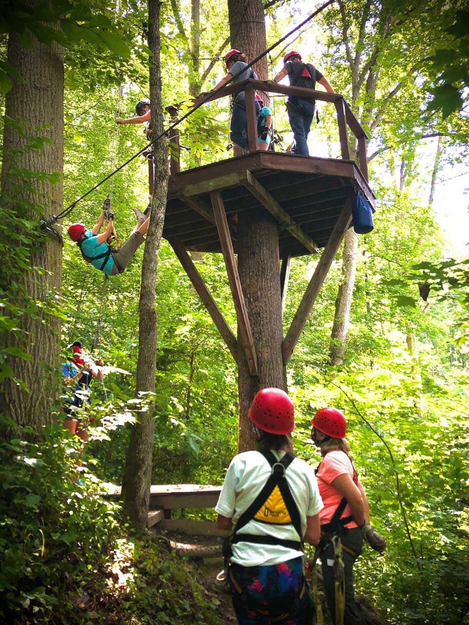 Zipline Canopy Tour | French Broad Adventures
