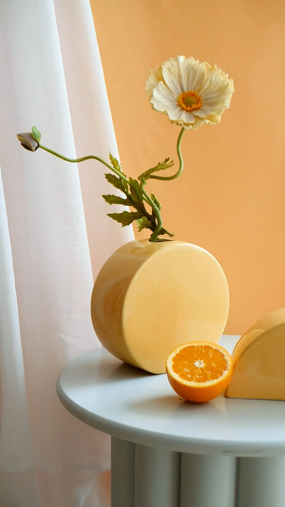 Stock Video from the Sculptural Blooms Pack | Packsia