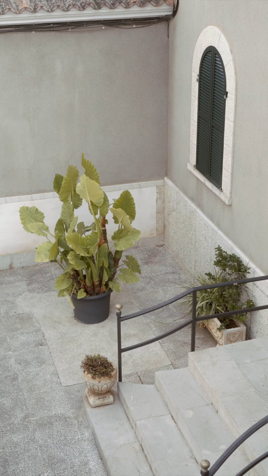 Stock Video from the Balearic Vibe Pack | Packsia