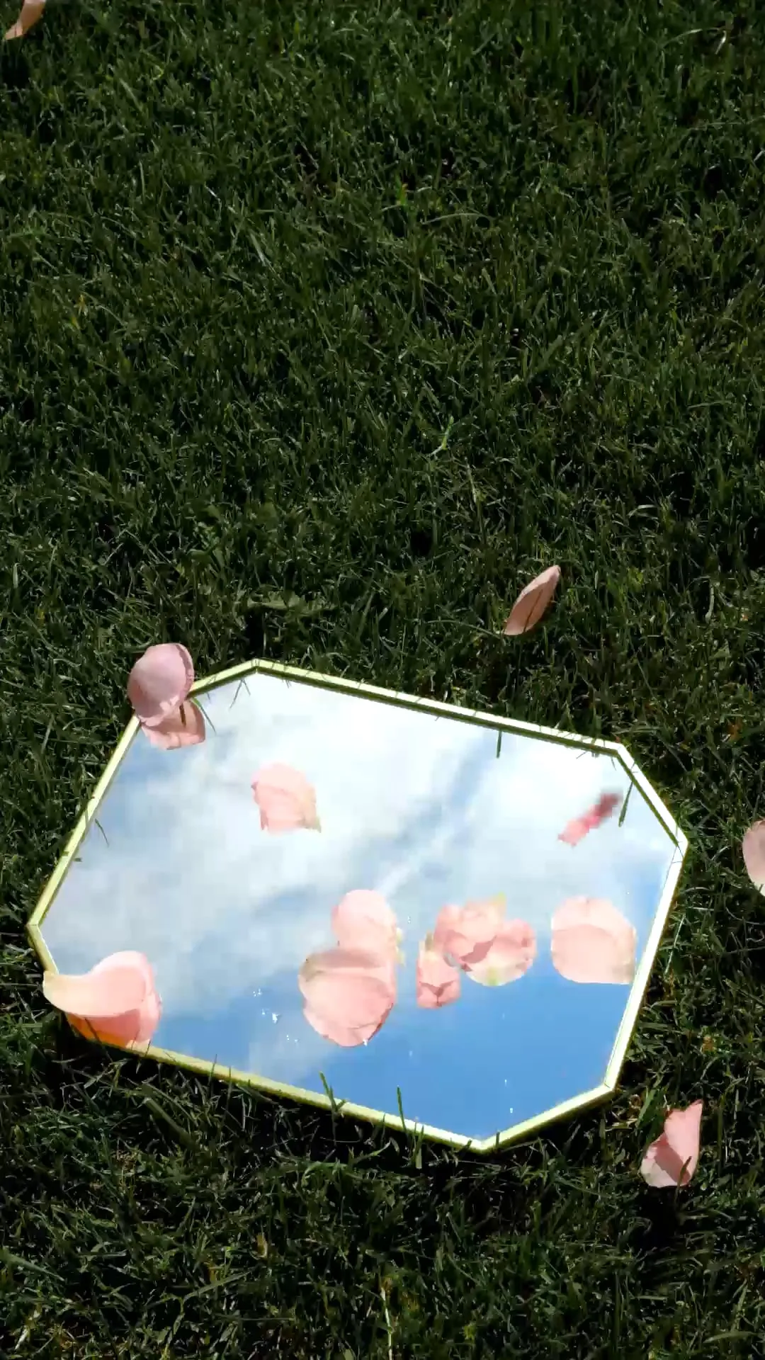 Stock Video from the Catch the Sun Pack | Packsia