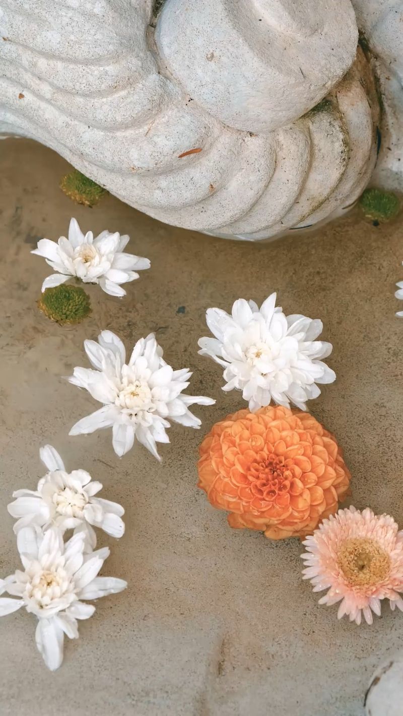 Stock Video from the Minimal Workspace Pack | Packsia