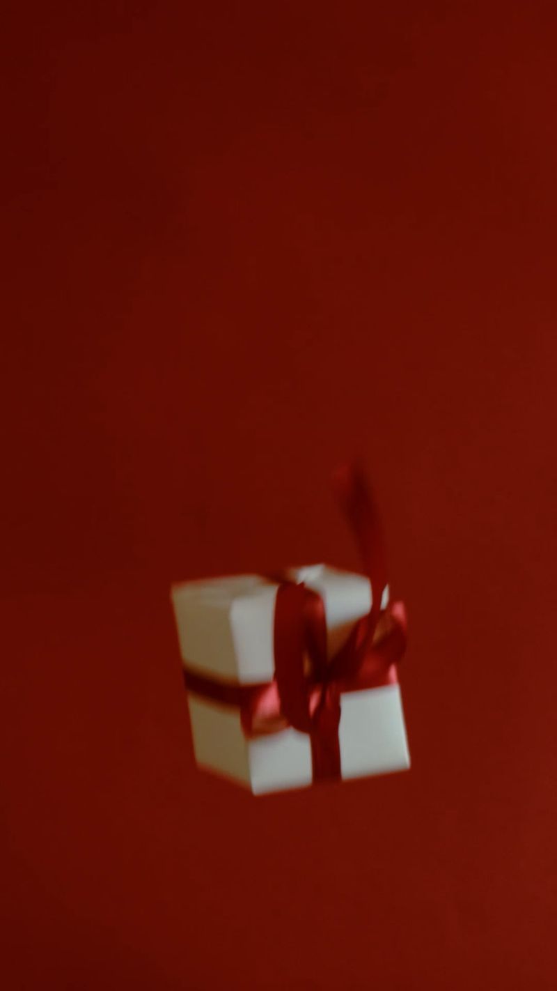 Stock Video from the Christmas Party Pack | Packsia