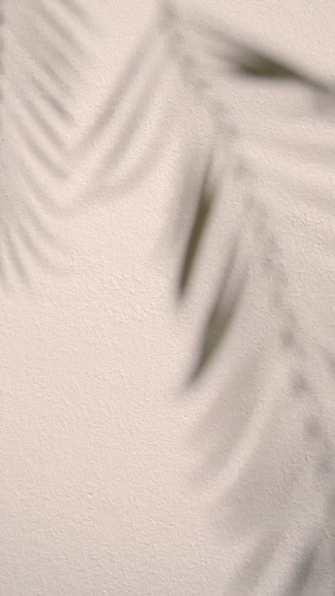 Stock Video from the Chic Shadows Pack | Packsia