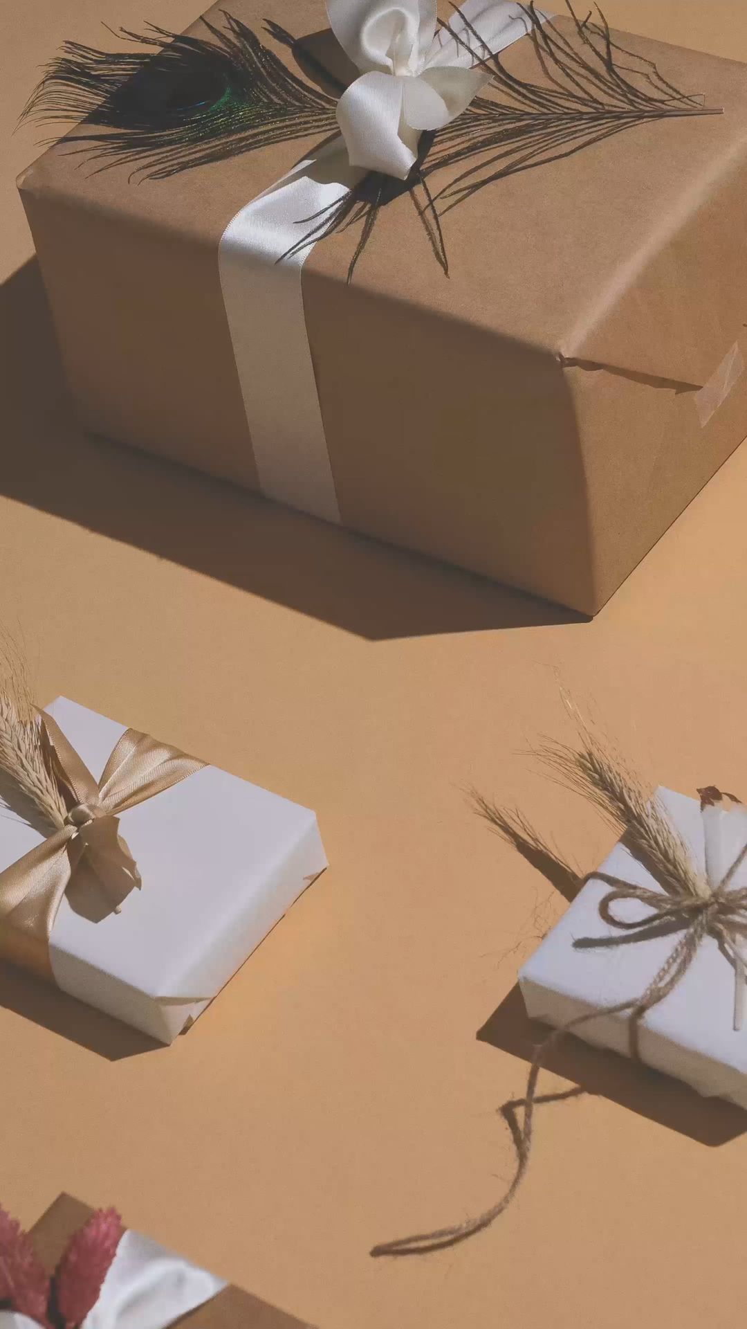 Stock Video from the Holiday Gift Pack | Packsia