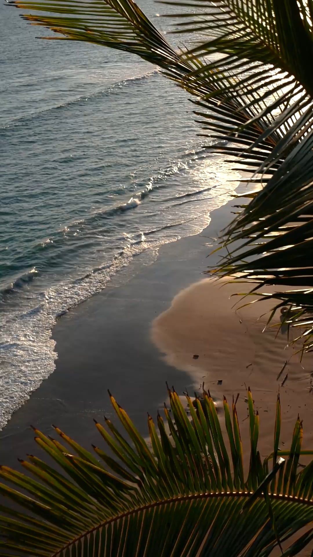 Stock Video from the Coastal Vista Pack | Packsia