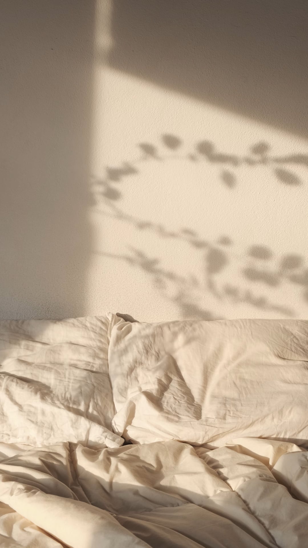 Stock Video from the Shower Routine Pack | Packsia