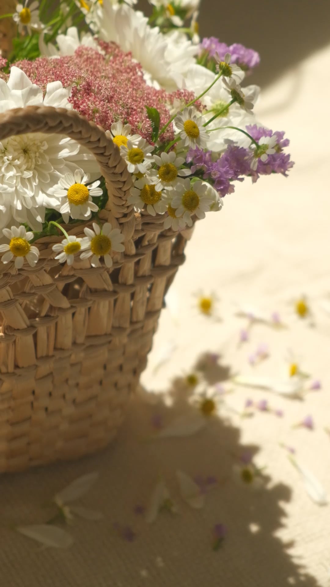 Stock Video from the Soleil et Eau Pack | Packsia