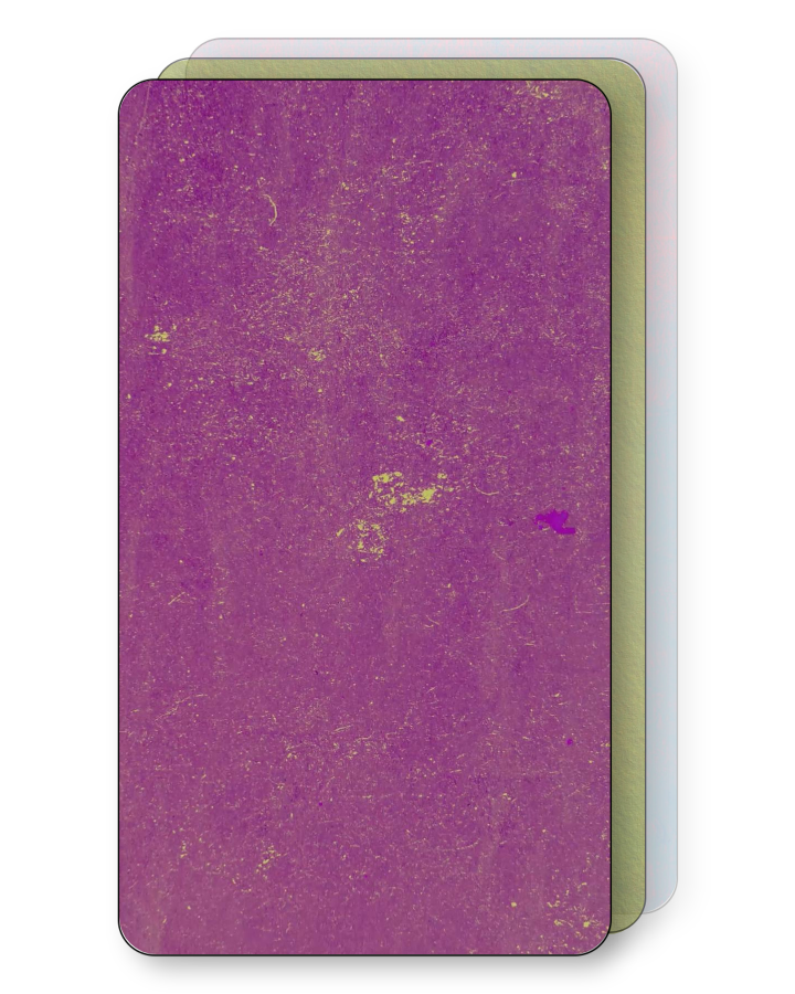 Motion Packs | Curated Collections of Stock Vertical Videos