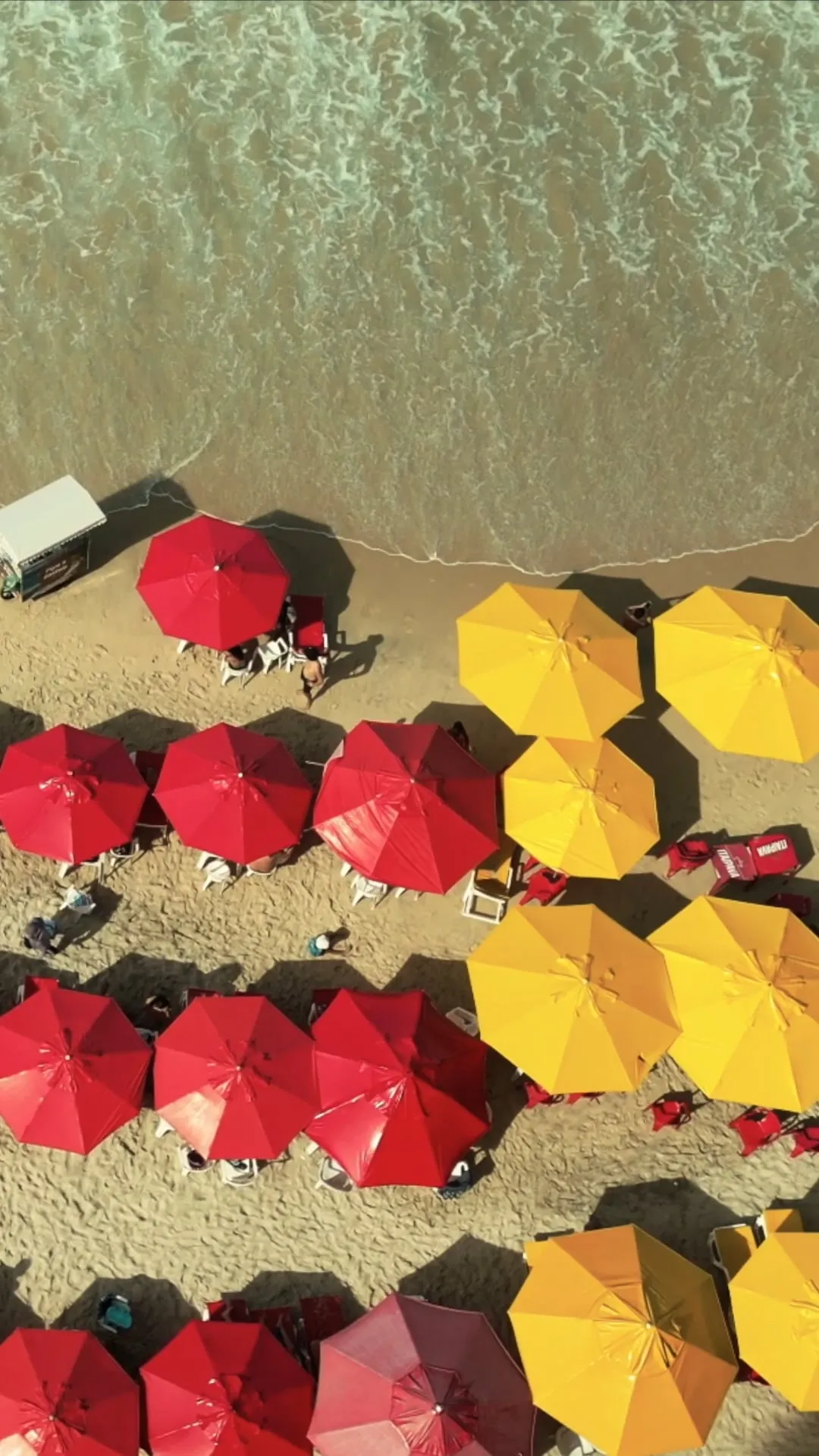 Stock Video from the Utah Foliage Pack | Packsia